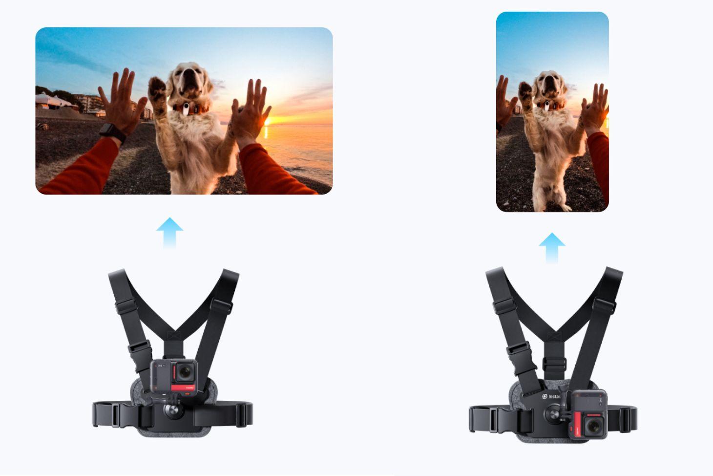 CHEST STRAP - InGearMoto