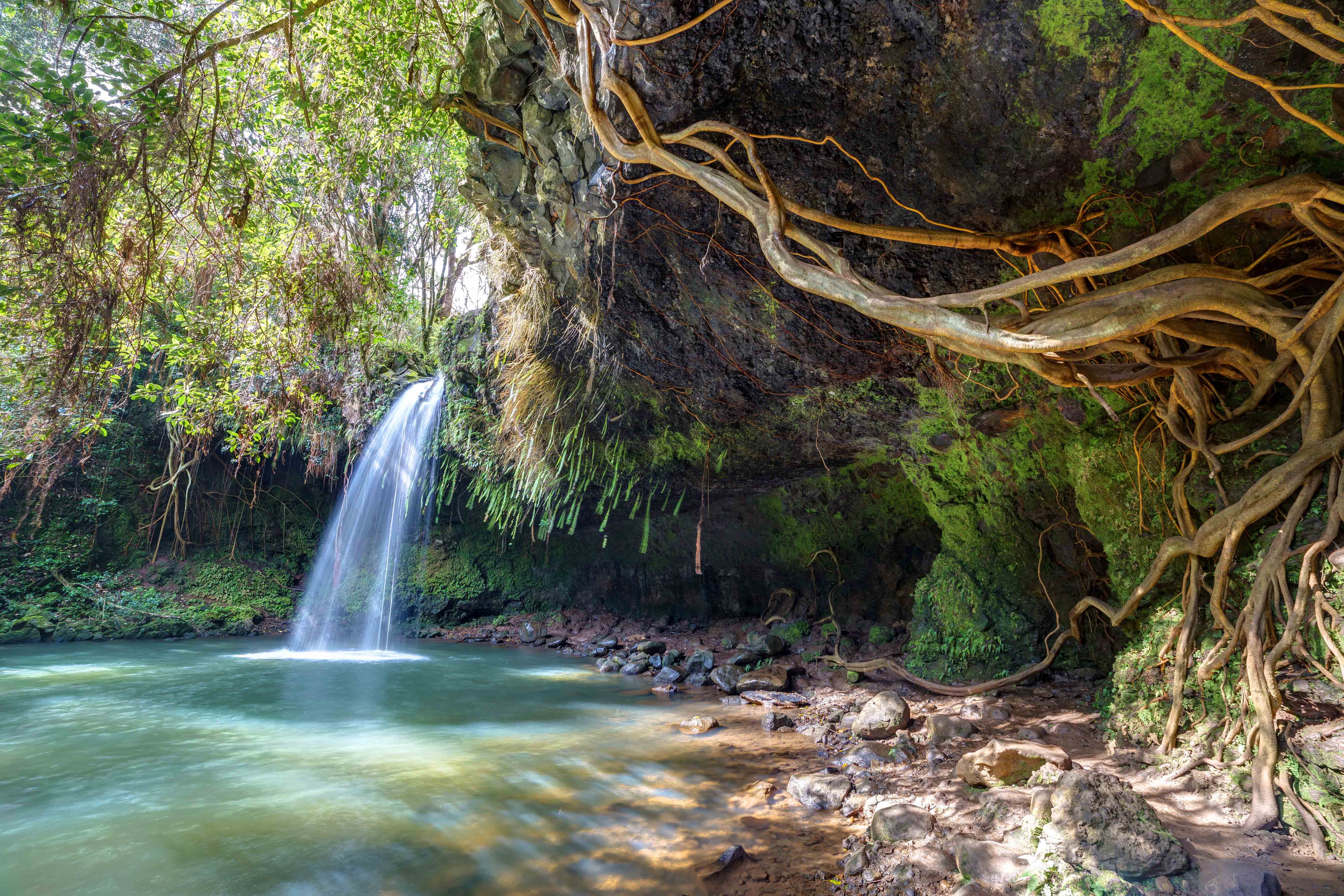 Best Nature Hikes on Maui, Hawaii | Skyline Hawaii Blog